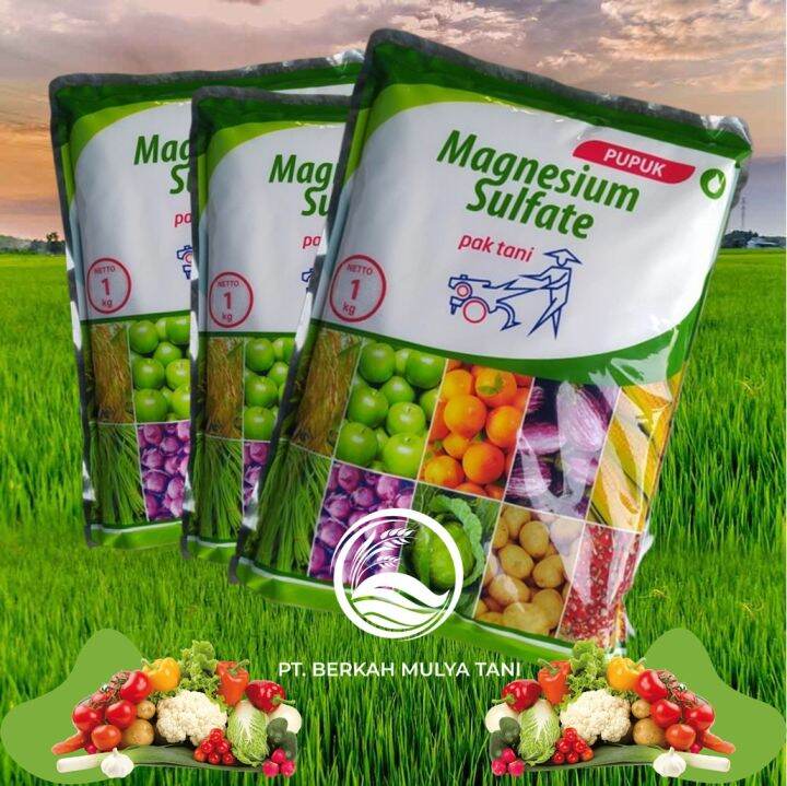 1 Kg Pupuk Magnesium Sulfat Pak Tani Sulfate Garam Inggris Untuk ...