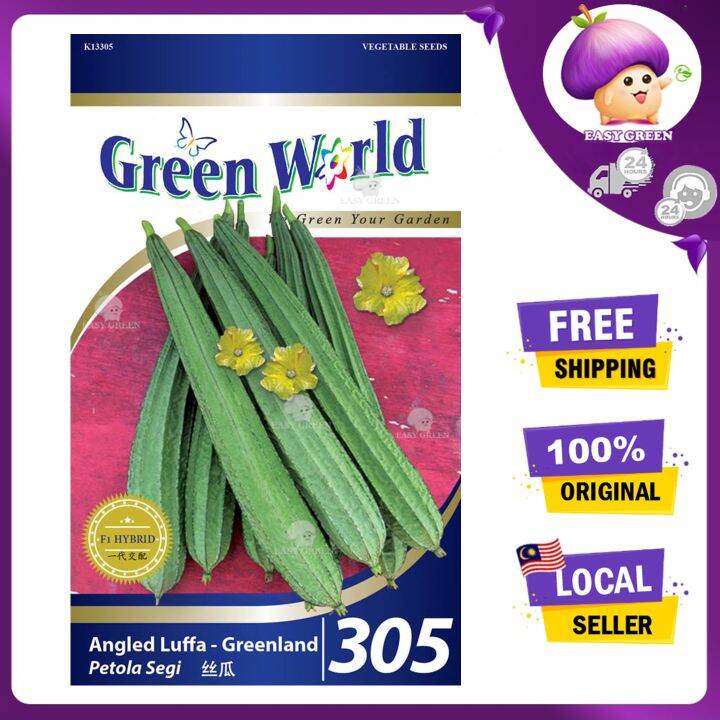 GW305 Petola Segi Petula Biji Benih Sayur Buah (10 Seeds) / Angled ...