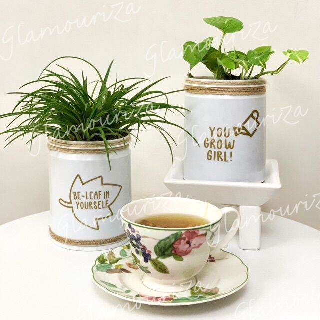 1 LITER Customized Planters made from HDPE 2 plastic | Lazada PH
