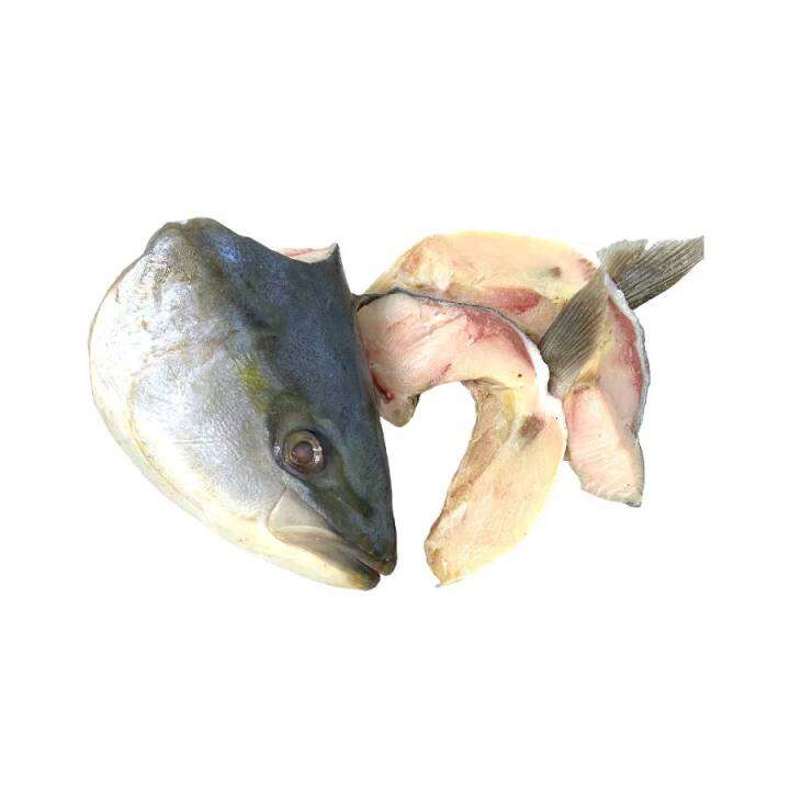 Frozen Japanese Yellowtail Hamachi Head with Collar (750-850g) | Lazada PH