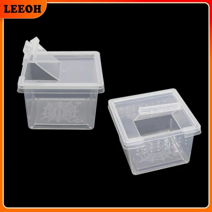 Plastic Transparent Insect Spider Habitat Feeding Box Reptiles Cage ...