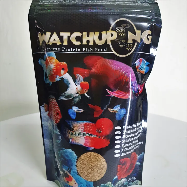 WATCHUPONG POWDER FRY BOOSTER 100g | Lazada PH