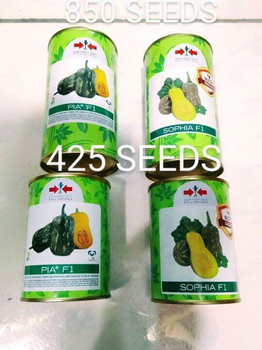 PIA SOPHIA F1 HYBRID SQUASH SEEDS(850 SEEDS/425 SEEDS)BY EAST WEST ...