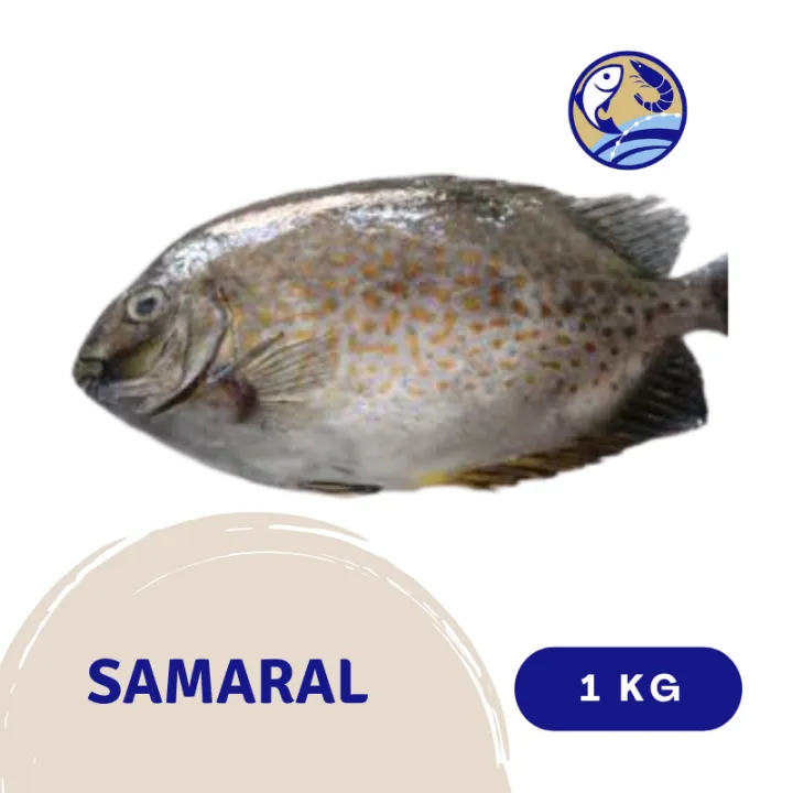 Samaral - 1kg | Lazada PH