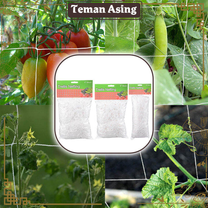 5m 10m 20m Alat Rambatan Tanaman Jaring Pertanian Jaring Sayuran Pohon ...