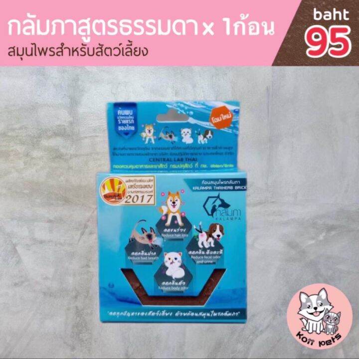 กลัมภา (KALAMPA) สูตรธรรมดา ก้อนสมุนไพรแช่น้ำดื่มสำหรับสัตว์เลี้ยง แมว ...