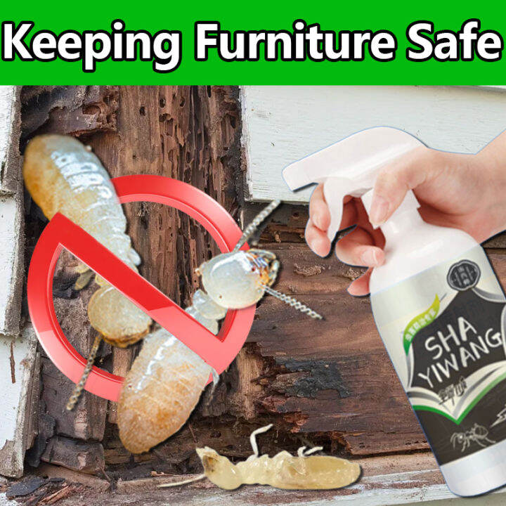 🐜termite killer 500ml🐜 XGAI Termites killer spray japan Anay killer ...