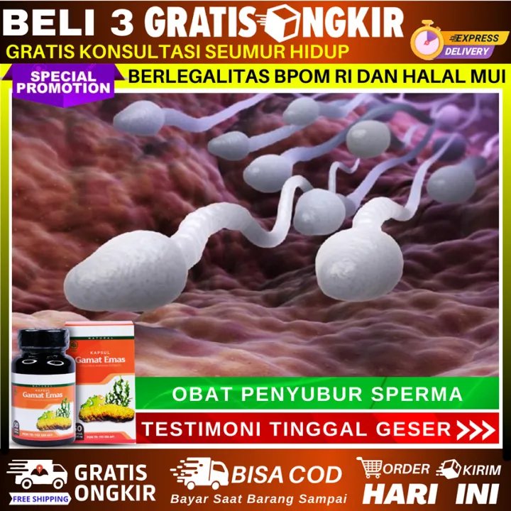 Obat Pengental Sperma, Biar Sperma Kental, Air Mani Encer, Penyubur ...