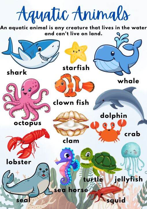 Aquatic Animals (A4 Glossy Paper Laminated Chart) | Lazada PH