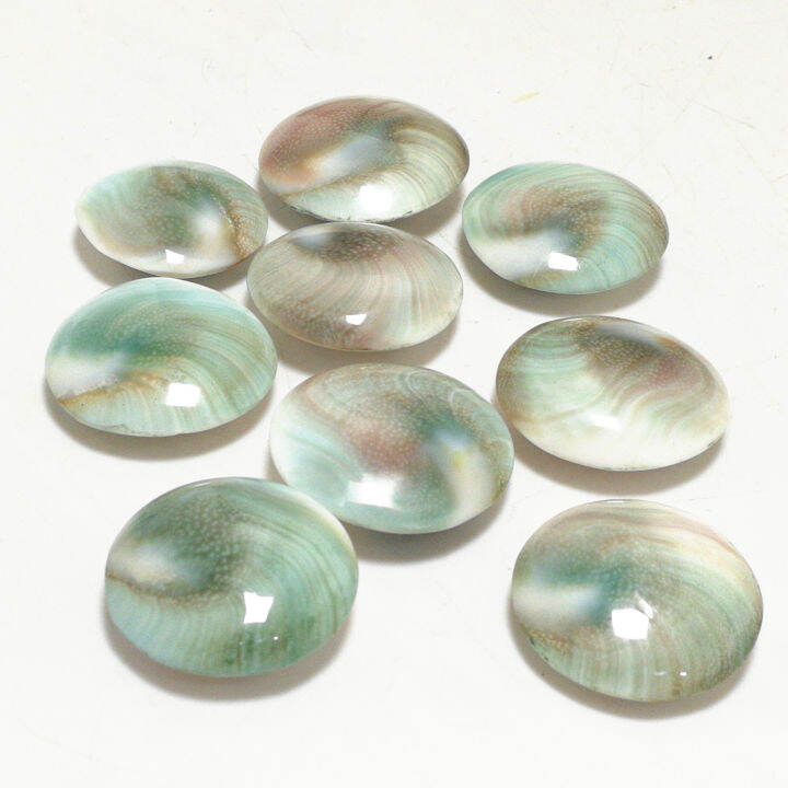 Natural Shiva Shell Gemstone/ Shiva Shell Crystal Quartz/ India Shell ...