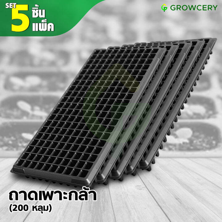 [G.] (Set 5 ใบ/แพ็ค) ถาดเพาะกล้า ถาดหลุม ถาดเพาะ ถาดเพาะต้นอ่อน เพาะเมล็ด จำนวน 200 หลุม (หนา 1 ...