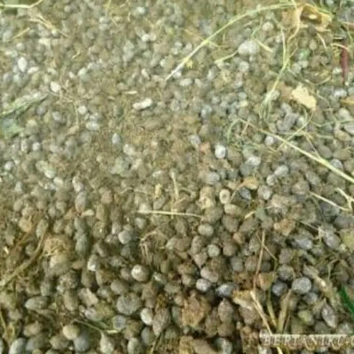 Pupuk Kandang Kotoran Kambing Kasar Srintil 1kg | Lazada Indonesia