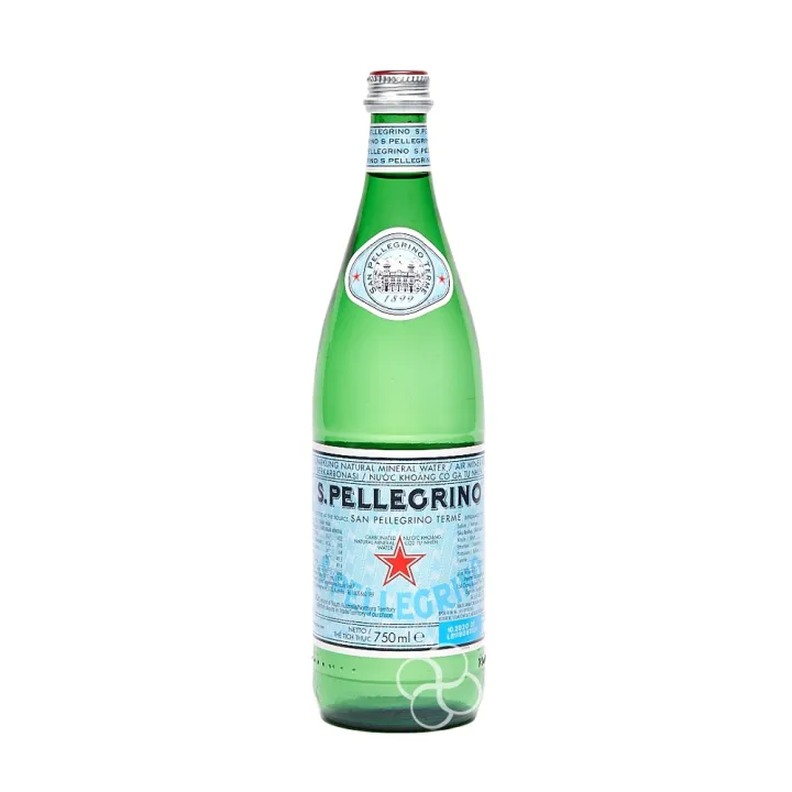 San Pellegrino Sparkling Natural Mineral Water 750mL | Lazada PH