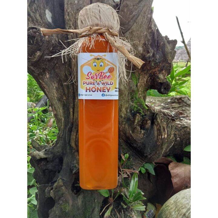 Sorsogon's Best SorBee Pure Raw Wild Forest Uncultured Unheated ...