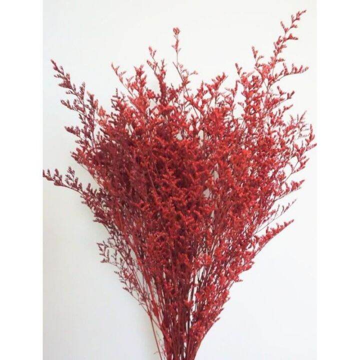 Dried Misty/ Real Flower/ Medium Bunch | Lazada PH