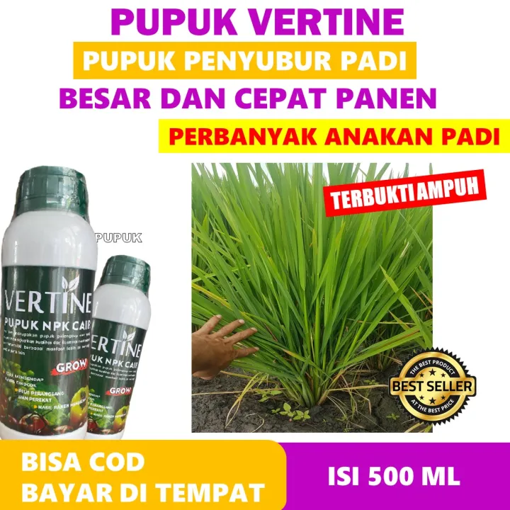LANGSUNG KIRIM BOOSTER OBAT MEMPERBANYAK ANAKAN PADI VERTINE GROW ...