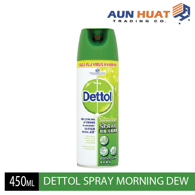 DETTOL SPRAY MORNING DEW 450ML | Lazada