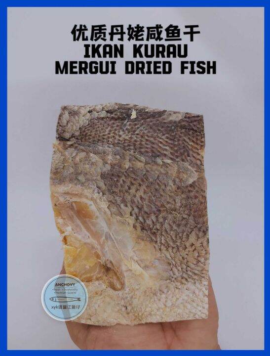 PREMIUM GRADE MERGUI DRIED FISH / IKAN KURAU / 优质丹荖咸鱼干 250gm | Lazada
