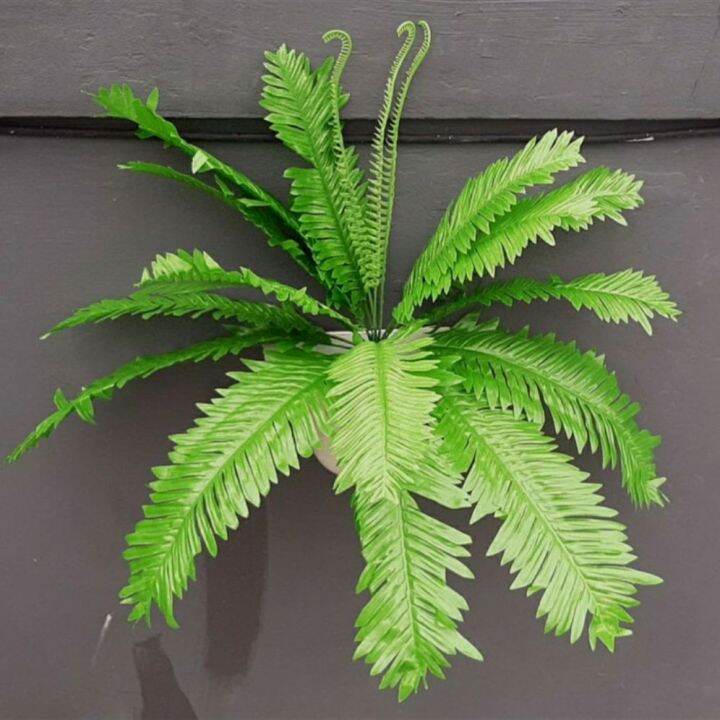 Daun pakis hias tempel artificial Daun Paku Tanaman gantung Palsu ...