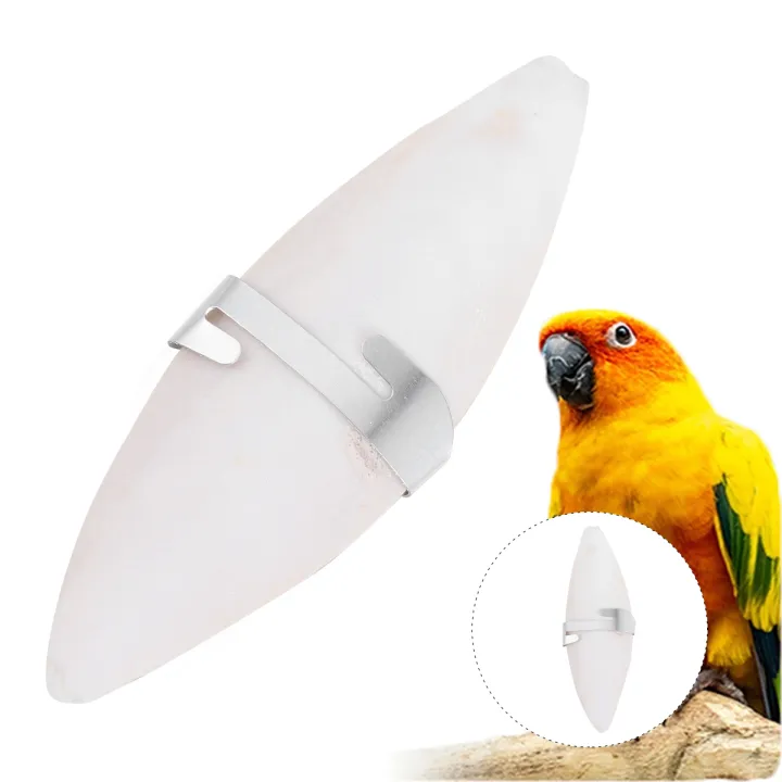 Cuttlebone Bird Molar Squid Bone Pets Feeding Chewing Supplies Cuttle ...