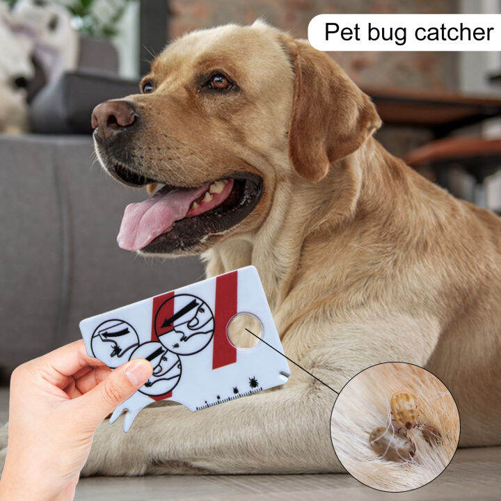Tick Remover For Dogs TickCheck Remover Card - Wallet Sized With Free ...
