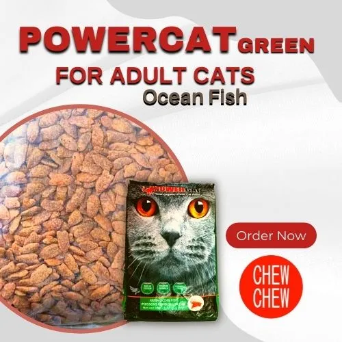 POWERCAT GREEN for Adult Cats - Ocean Fish | Lazada PH