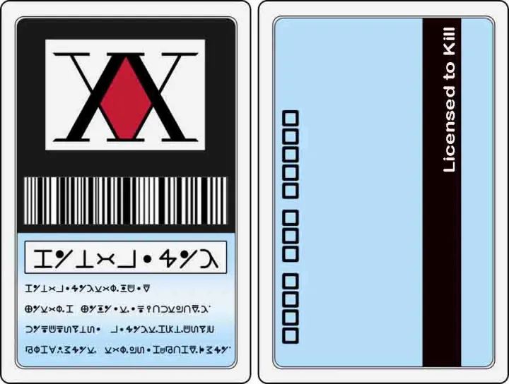 DPS Hunter x Hunter License Card Personalized High Quality PVC Card ...