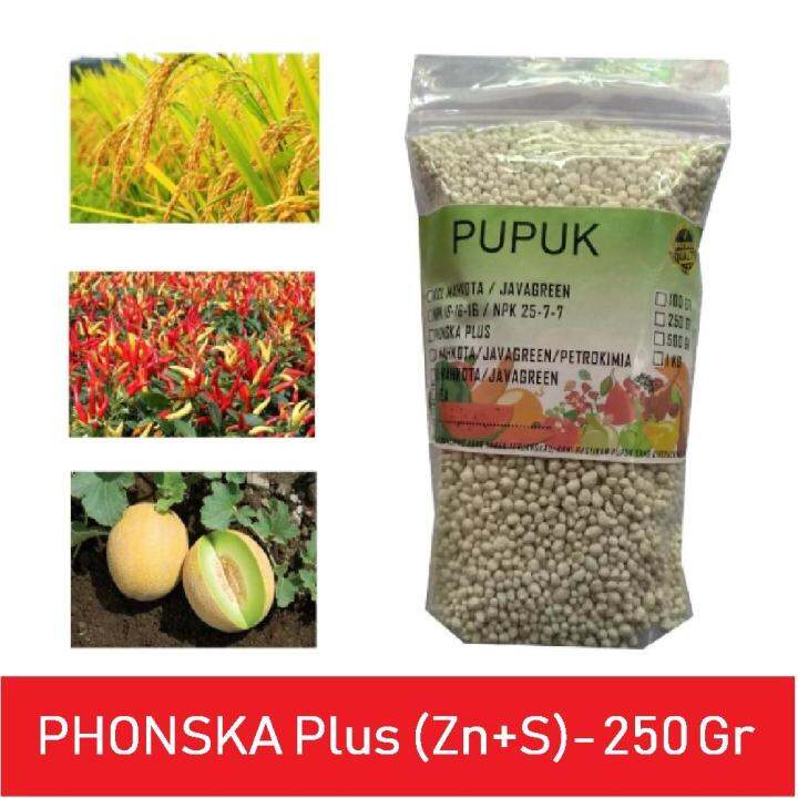 Pupuk Phonska Plus (Zn+Sulfur) 250 Gram Petrokimia Gresik | Lazada ...