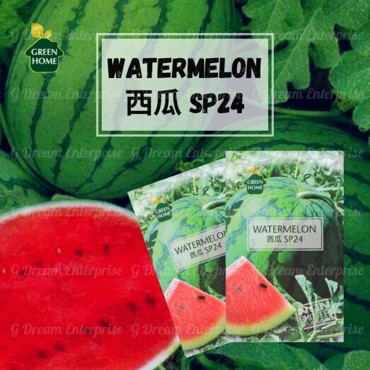Tembikai Merah / Watermelon Seeds /Gardening (not plants) | Lazada PH