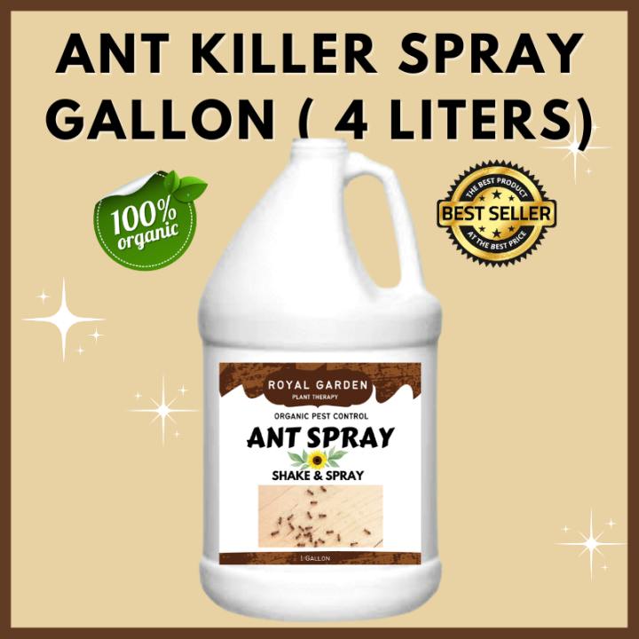 Ant Killer / 100% EFFECTIVE to CRAWLING INSECTS, ANT KILLER SPRAY ...