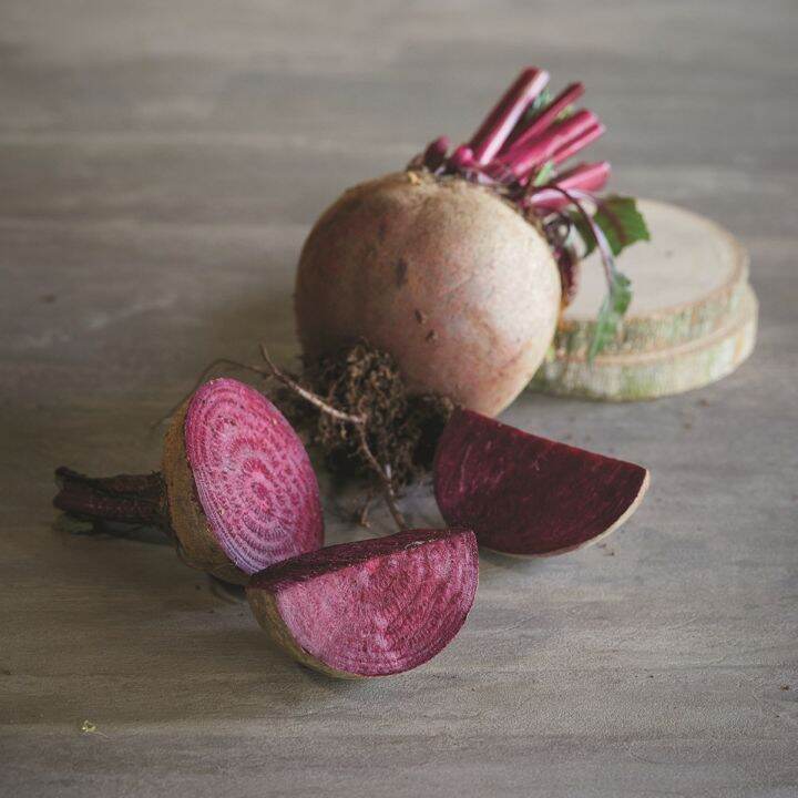 เมล็ดพันธุ์ บีทรูท (Beetroot) ซองละ 29 บาท บีทรูทเป็นพืชที่ดีต่อสุขภาพ ...
