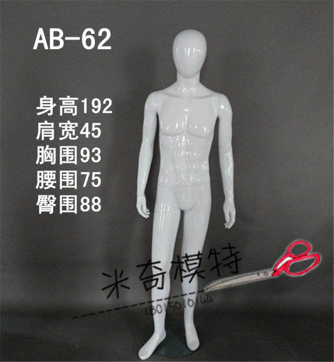 Spot parcel post Men's Whole-Body Model Props Small Size Props Window ...