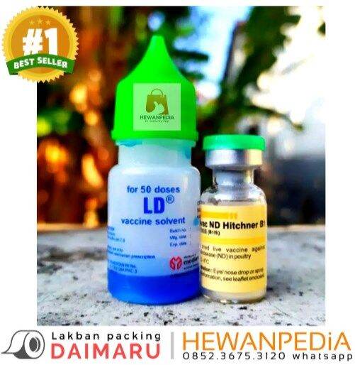 VAKSIN ND HITCHNER B1 DOSIS 50 EKOR + PELARUT MEDIVAC MEDION - Telo ...