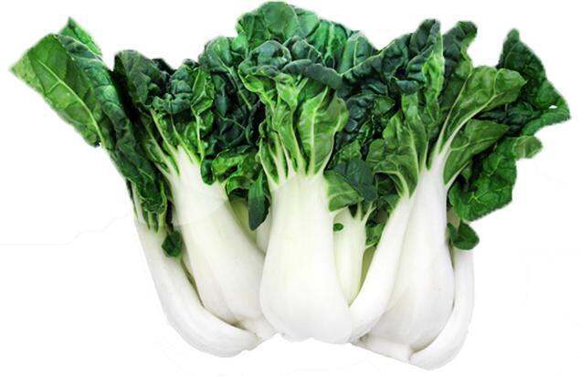 Dwarf Pechay Hybrid Seeds/Baby Pechay/Mini Pechay | Lazada PH