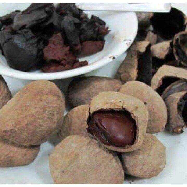 Kluwek picung pucung kepayang keluwak bumbu masakan rawon gabus pucung ...