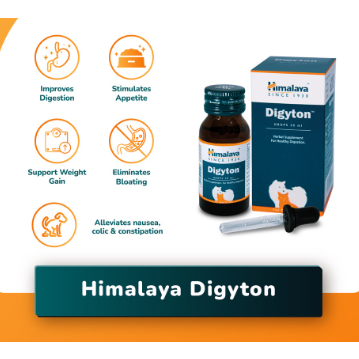 Himalaya Digyton (30ml) - Improve Appetite | Lazada