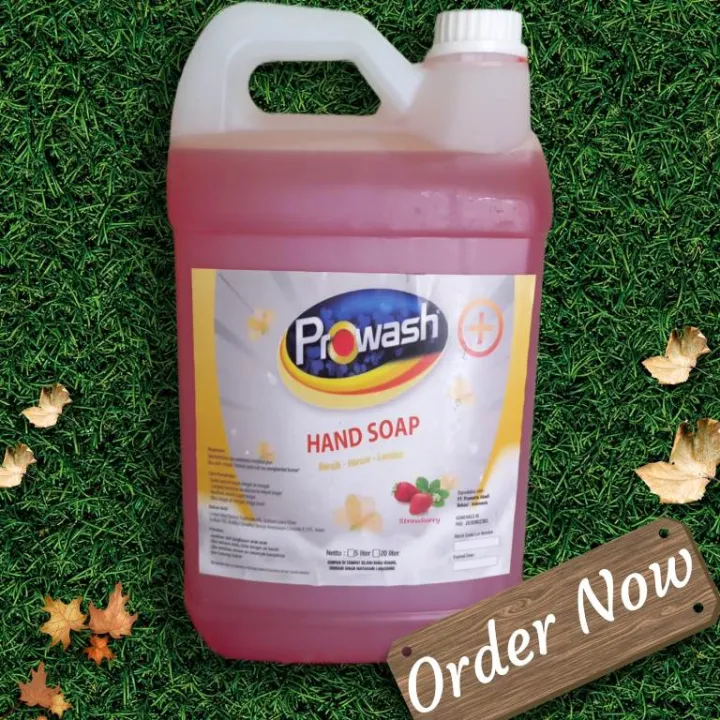 Prowash Sabun Cair Cuci Tangan Hand Soap 20 liter | Lazada Indonesia