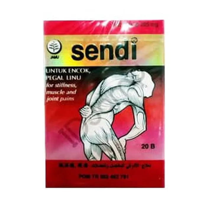 Sendi Pill 100 S - Obat Nyeri Sendi-Sakit Encok-Pegel Linu-Rematik ...