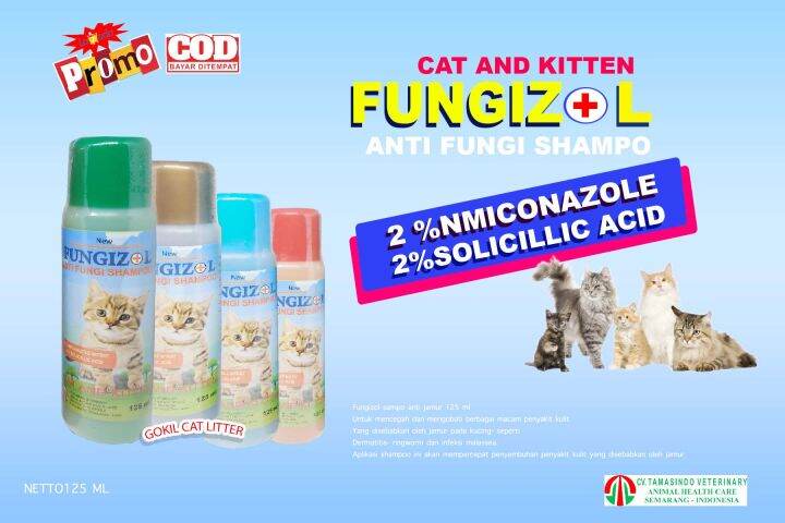 FUNGIZOLE CAT-SHAMPO ANTI JAMU, ANTI FUNGAL,OBAT KORENG, OBAT BUDUK ...