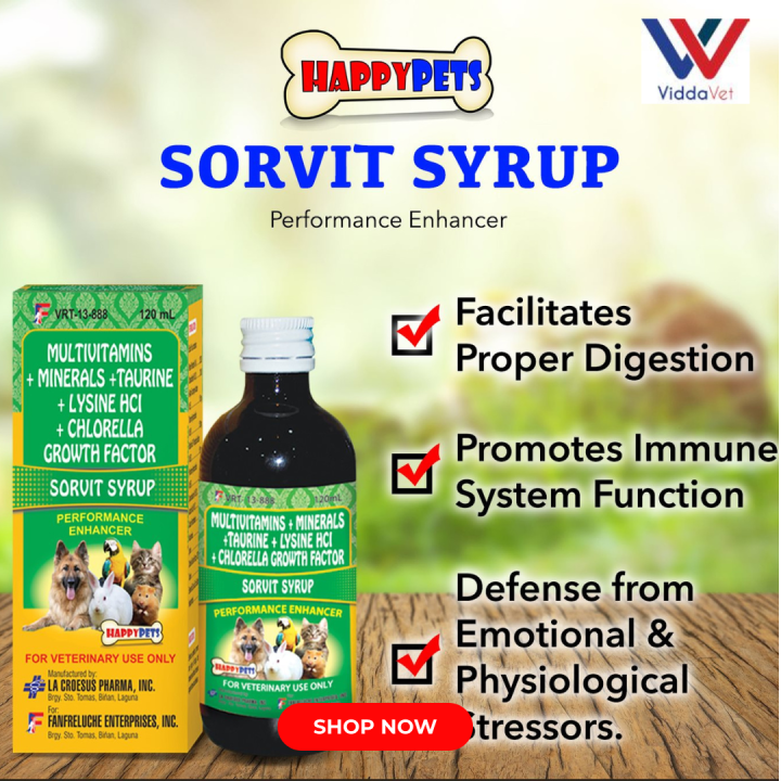 Sorvit Syrup Performace Enhancer 60ml - 120ml Multivitamins + Minerals ...