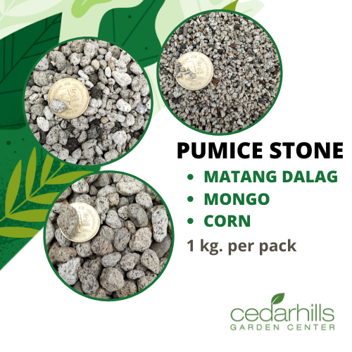 Cedarhills Garden Center PUMICE STONE ( PINATUBO ) 1Kg. SIZE : Matang ...