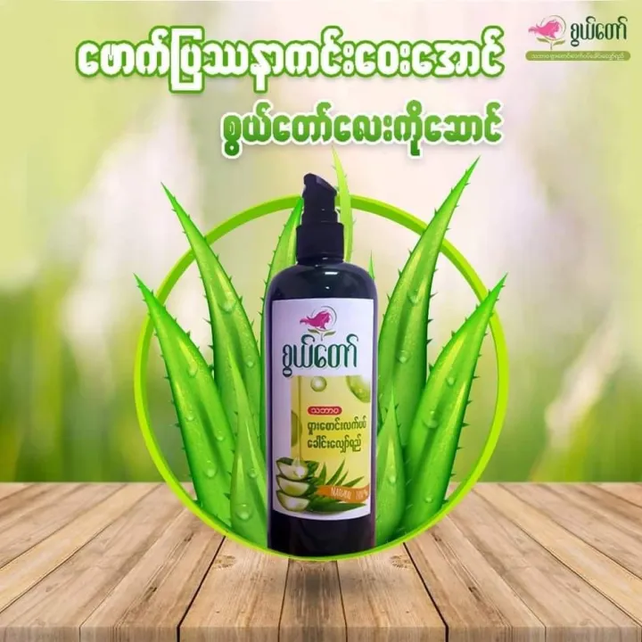 Aloe Vera Shampoo แชมพูว่านหางจระเข้ { Myanmar စယြ္ေတာ္ လ ...