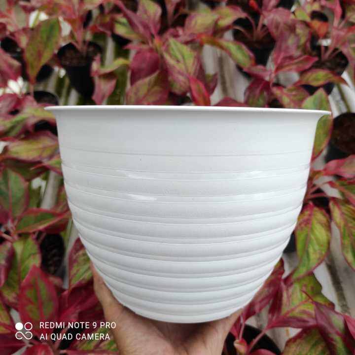 POT BUNGA PUTIH MOTIF TAWON MDN 24CM/POT PUTIH 24/POT TANAMAN HIAS /POT ...
