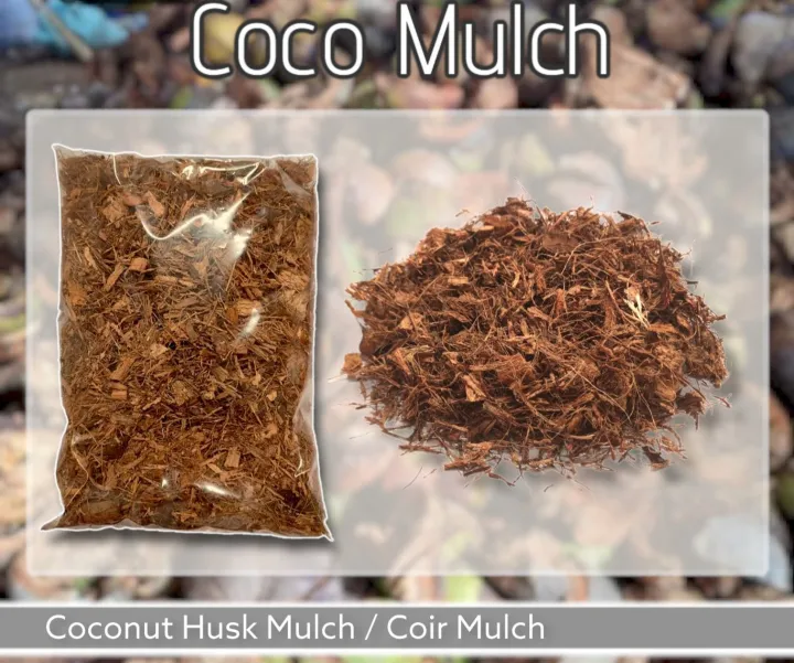 Coco Mulch 250g | Organic Coconut Husk (Coir) Mulch perfect for growing ...