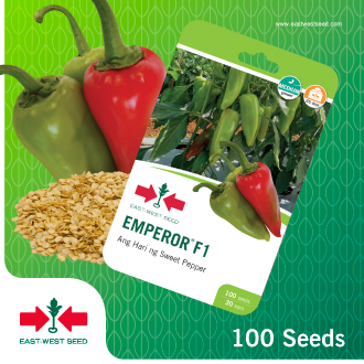 Eastwest Seed [EMPEROR F1] Bell Pepper/Sweet Pepper Go Grow Pack ...