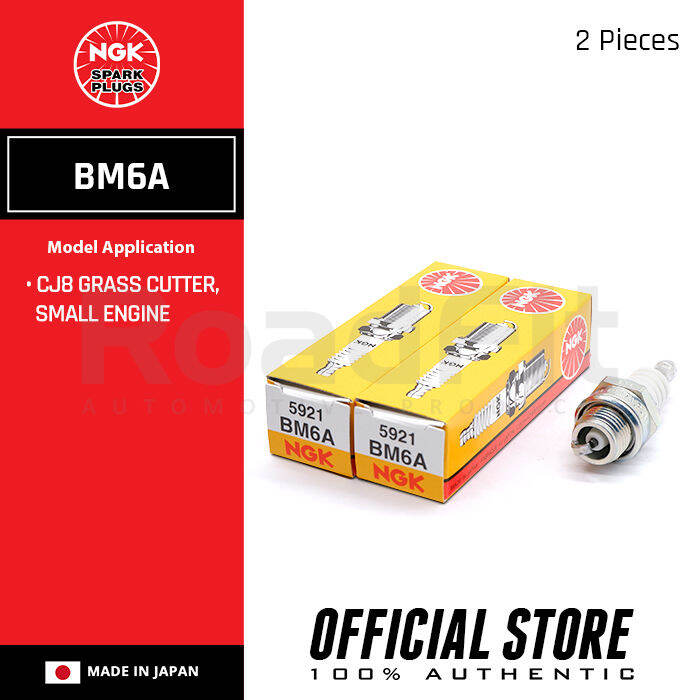 NGK BM6A Standard Spark Plugs for CJ8 Grass Cutter, Small Engine 2pcs ...