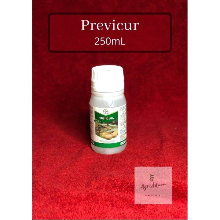 Previcur 250 mL Fungicide (Bayer) | Lazada PH