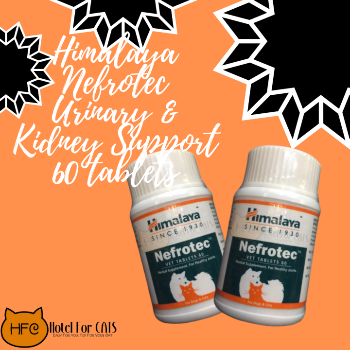 Himalaya Nefrotec Urinary & Kidney Support 60 tablets | Lazada