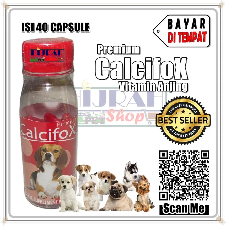 Obat Anjing Vitamin Anjing Suplemen Anjing Vitamin Puppy Menjaga ...