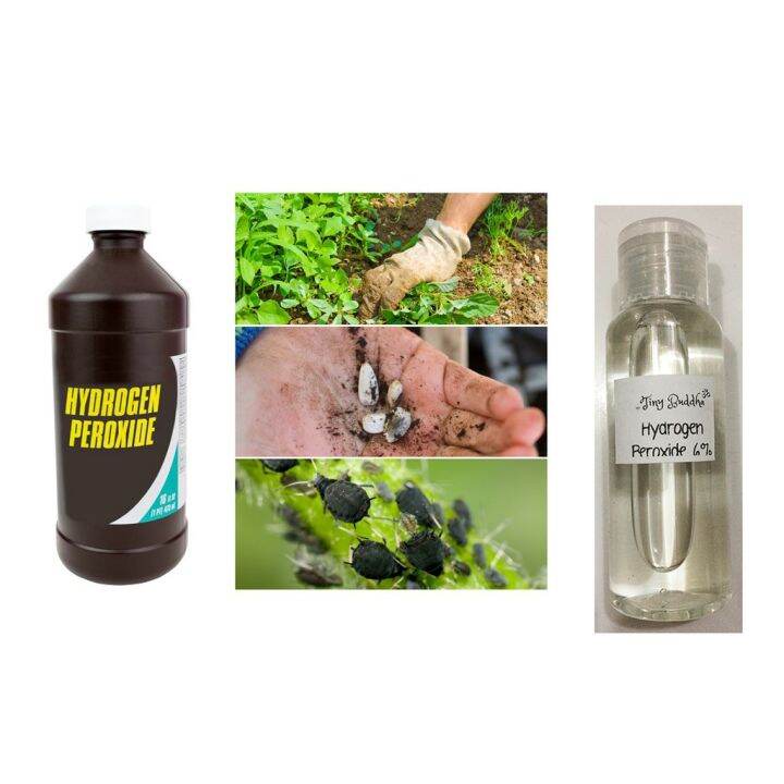 hydrogen peroxide disinfect seeds for germination 500ml | Lazada PH